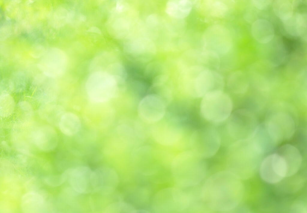 JASTI監査 - 一般財団法人ボーケン品質評価機構